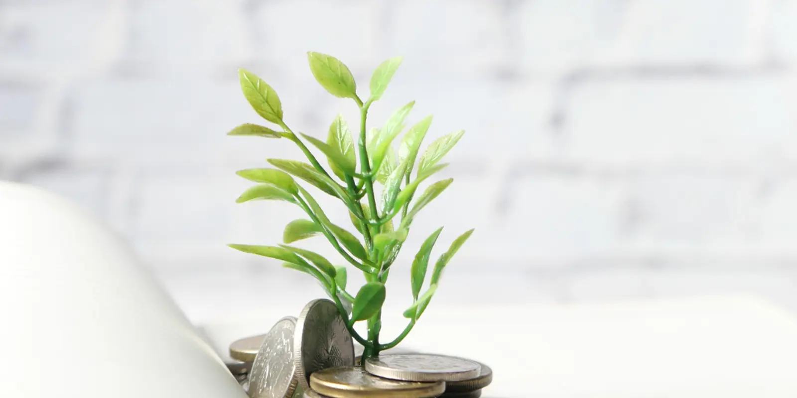 Careers | Beltrami County