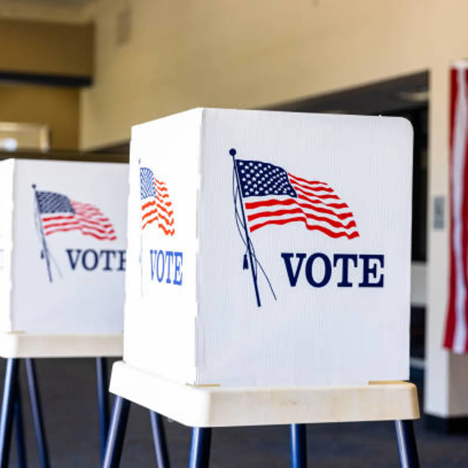 Elections & Voting | Beltrami County